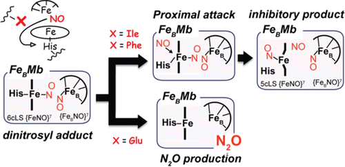 生物分析化学・生物構造化学研究室
