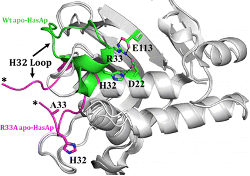 生物分析化学・生物構造化学研究室