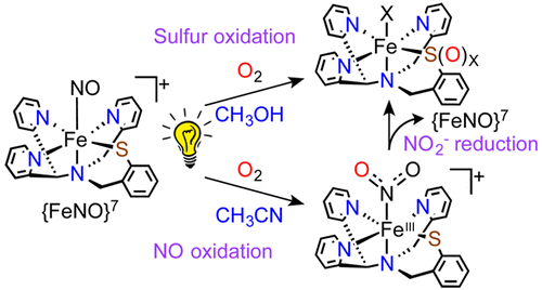 生物分析化学・生物構造化学研究室